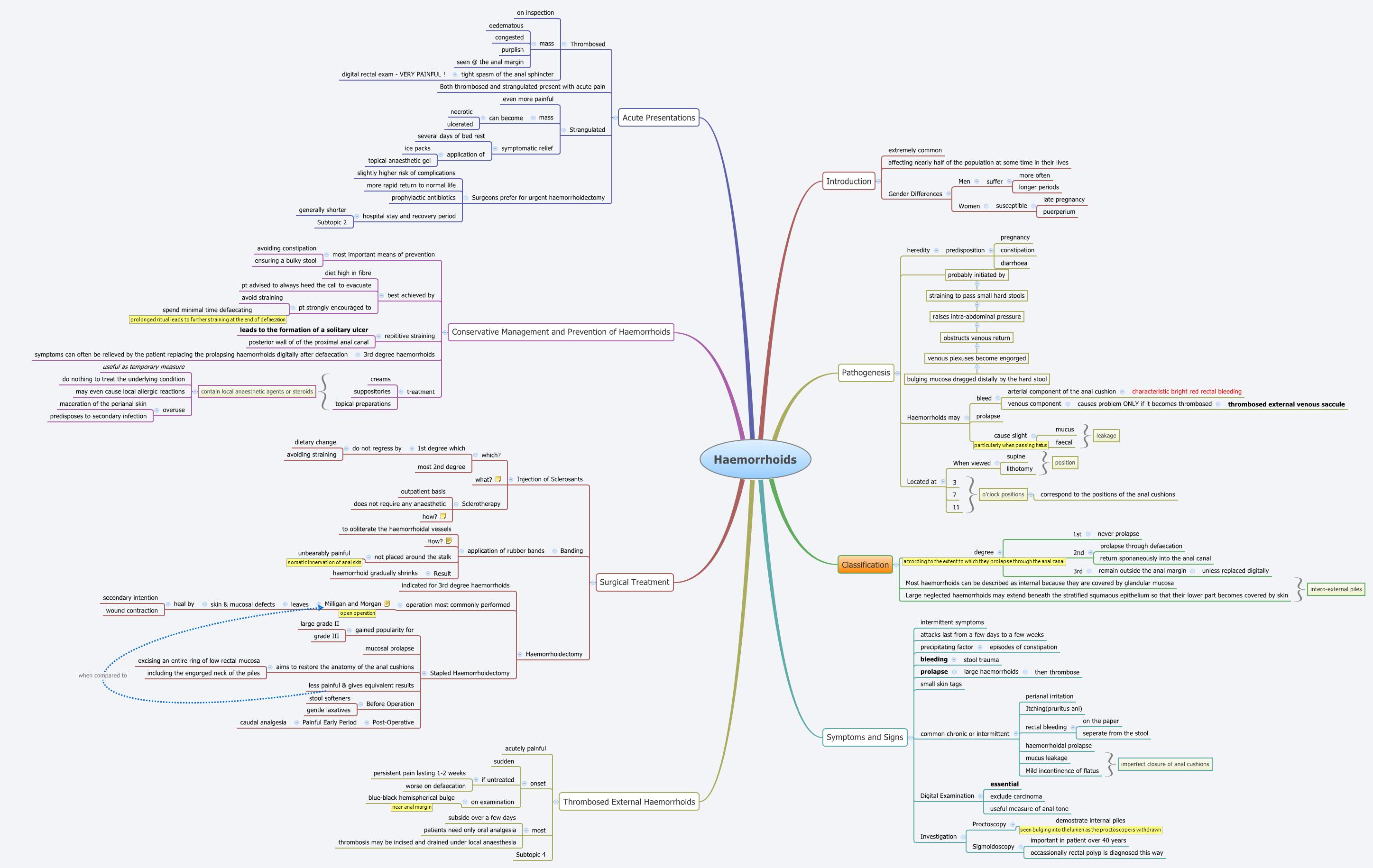 Haemorrhoids | Stefan Buttigieg - Xmind