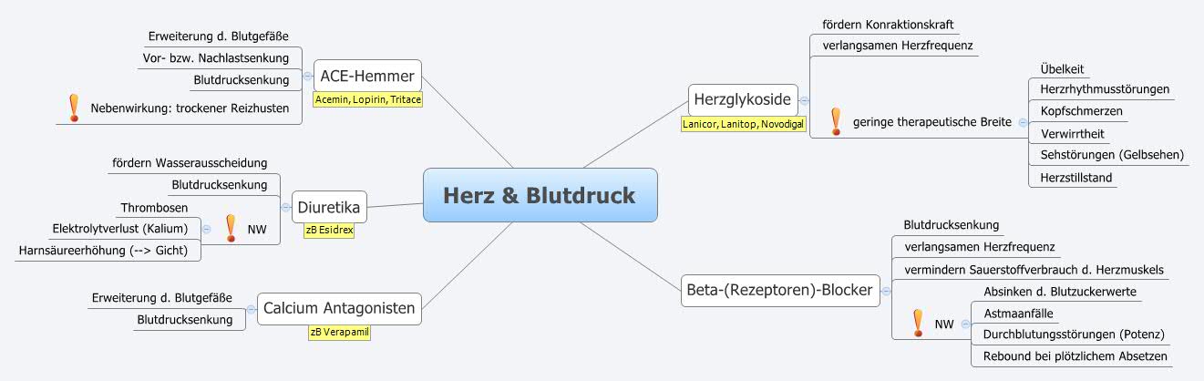 Herz & Blutdruck | Harry March - Xmind