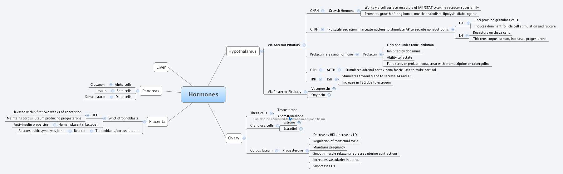Hormones - XMind - Mind Mapping Software