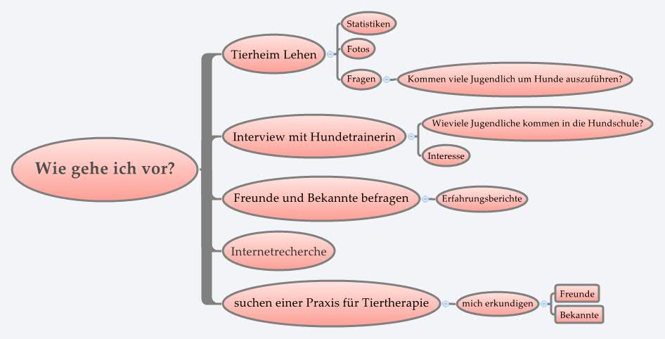 Wie gehe ich vor? | 191191 - Xmind