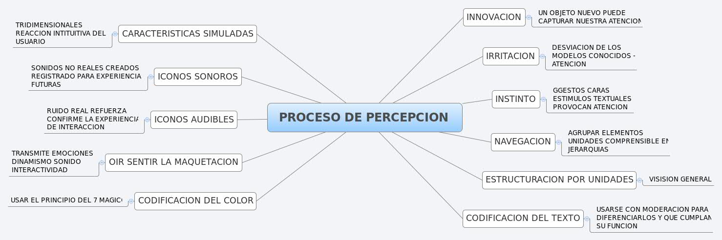 PROCESO DE PERCEPCION | ANGELA DIAZ CHIRINOS - Xmind