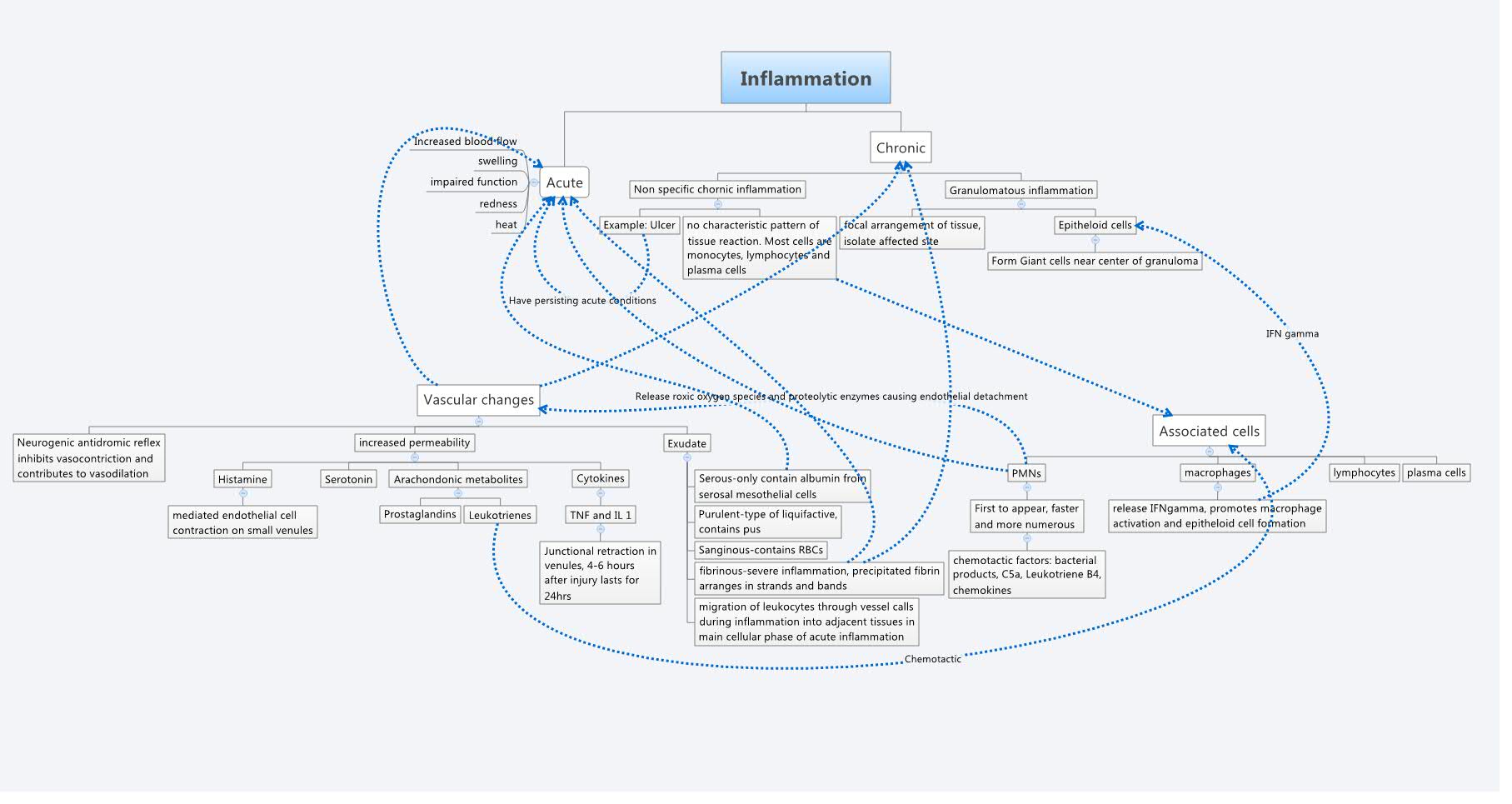 Inflammation - XMind - Mind Mapping Software