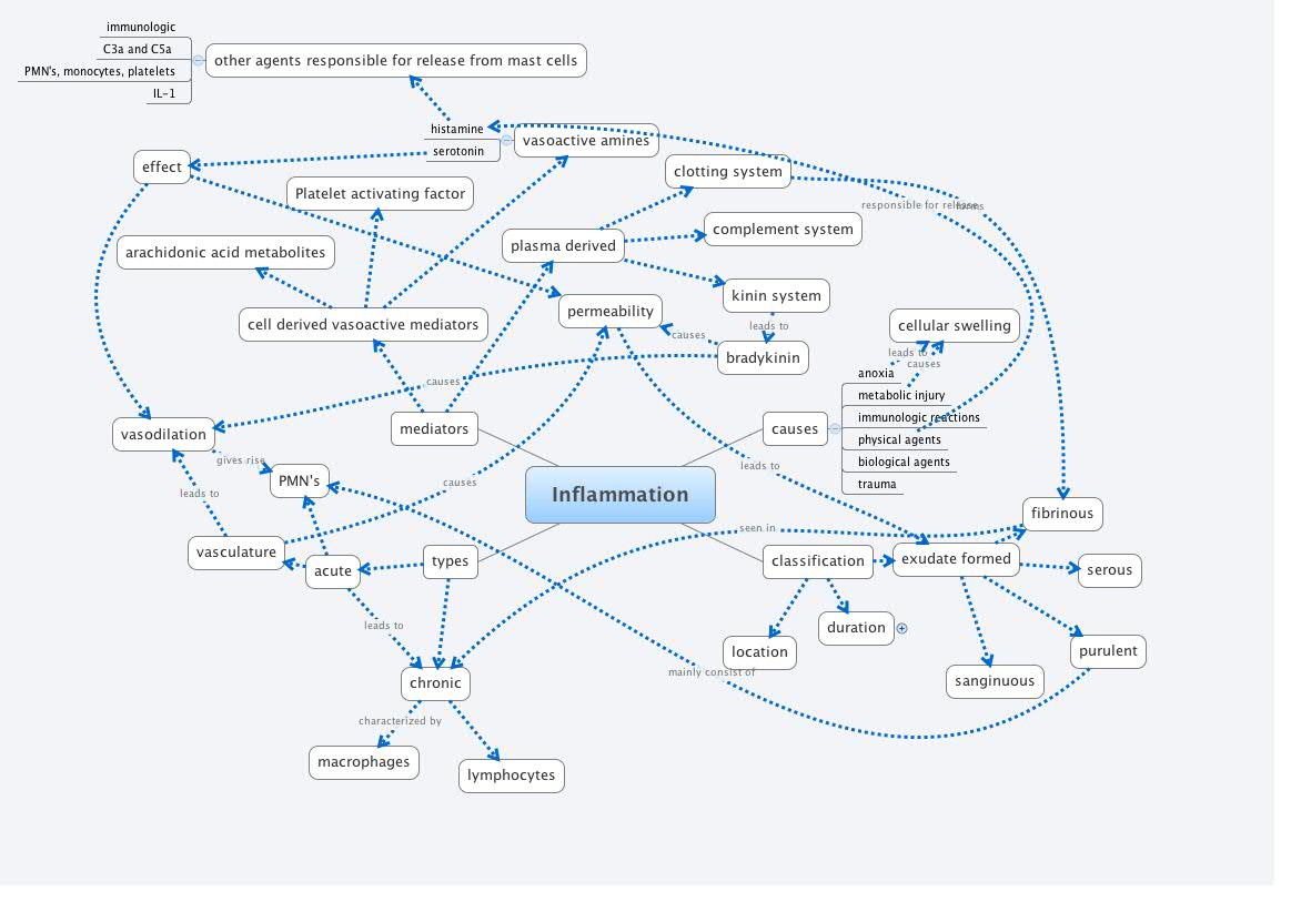 Inflammation - XMind - Mind Mapping Software