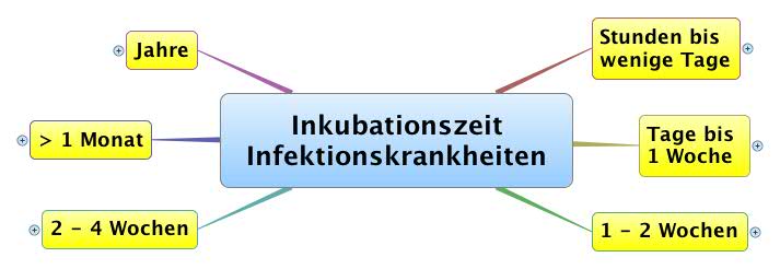 Inkubationszeit Infektionskrankheiten - XMind - Mind Mapping Software