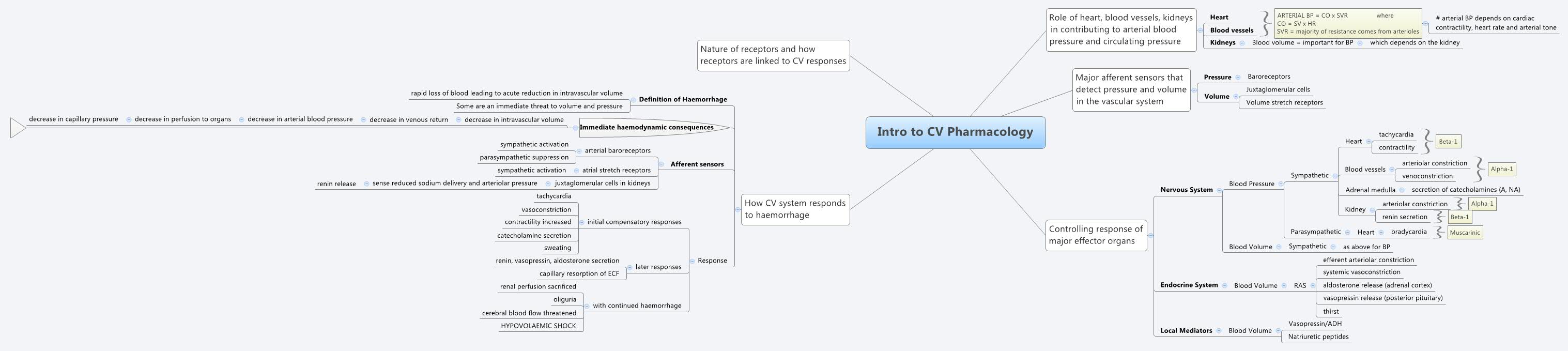 Intro to CV Pharmacology | squeezethemoose - Xmind