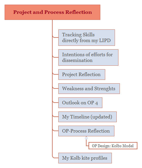 Project and Process Reflection | Carolina-Therese - Xmind