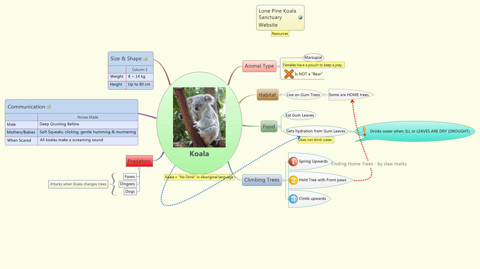 Octopus - XMind - Mind Mapping Software