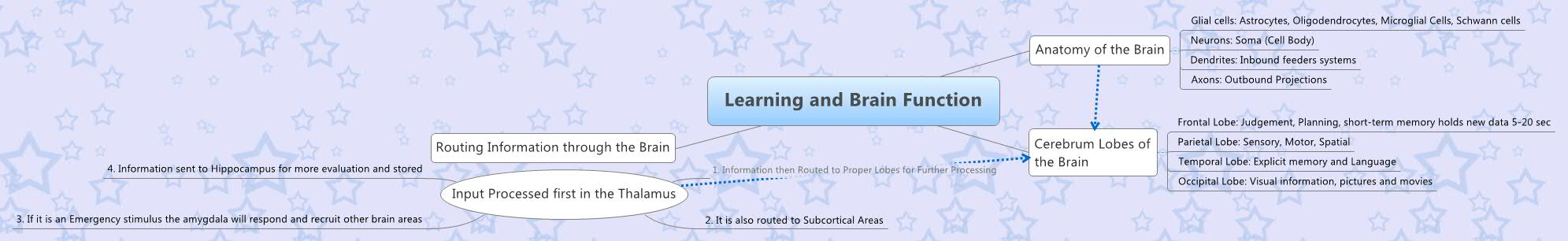 Learning and Brain Function | BabyPR24 - Xmind