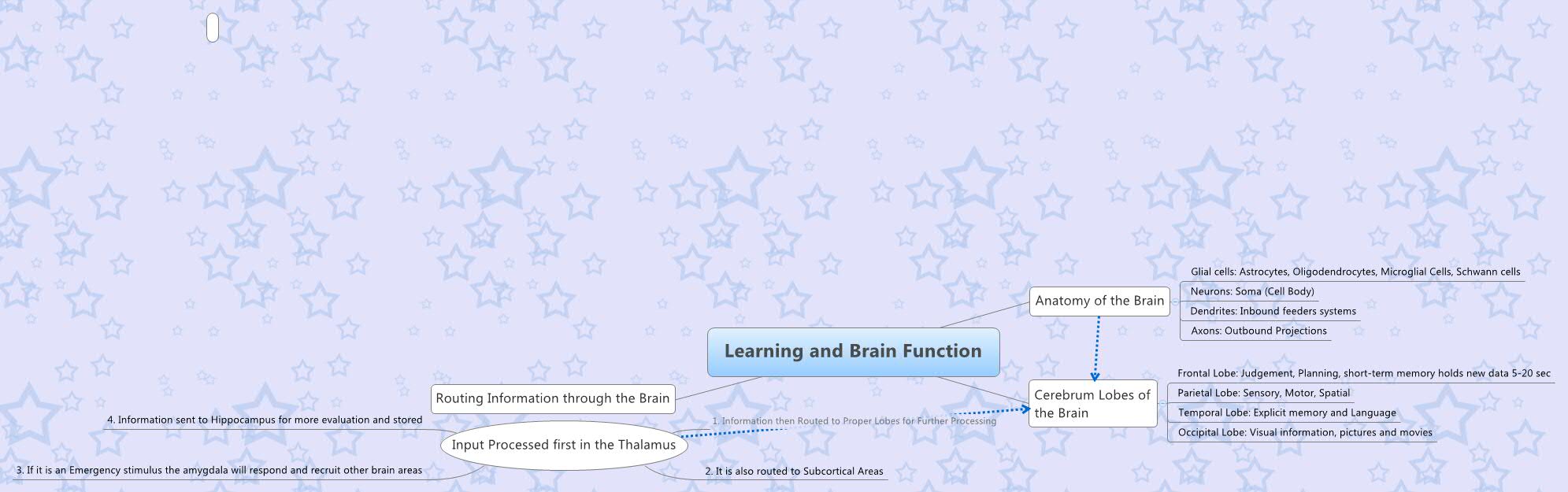 Learning and Brain Function - XMind - Mind Mapping Software