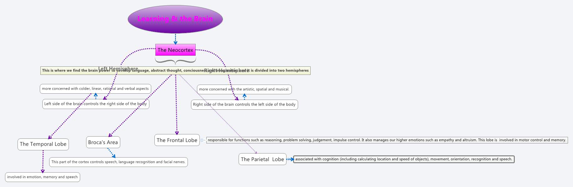 Learning & the Brain - XMind - Mind Mapping Software