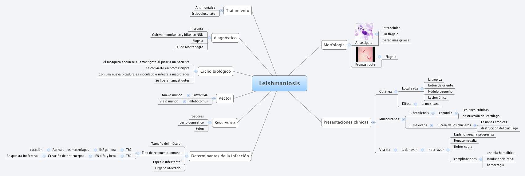 XMind Share - XMind - Mind Mapping Software