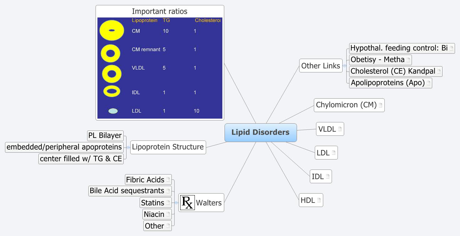 Lipid Disorders - XMind - Mind Mapping Software