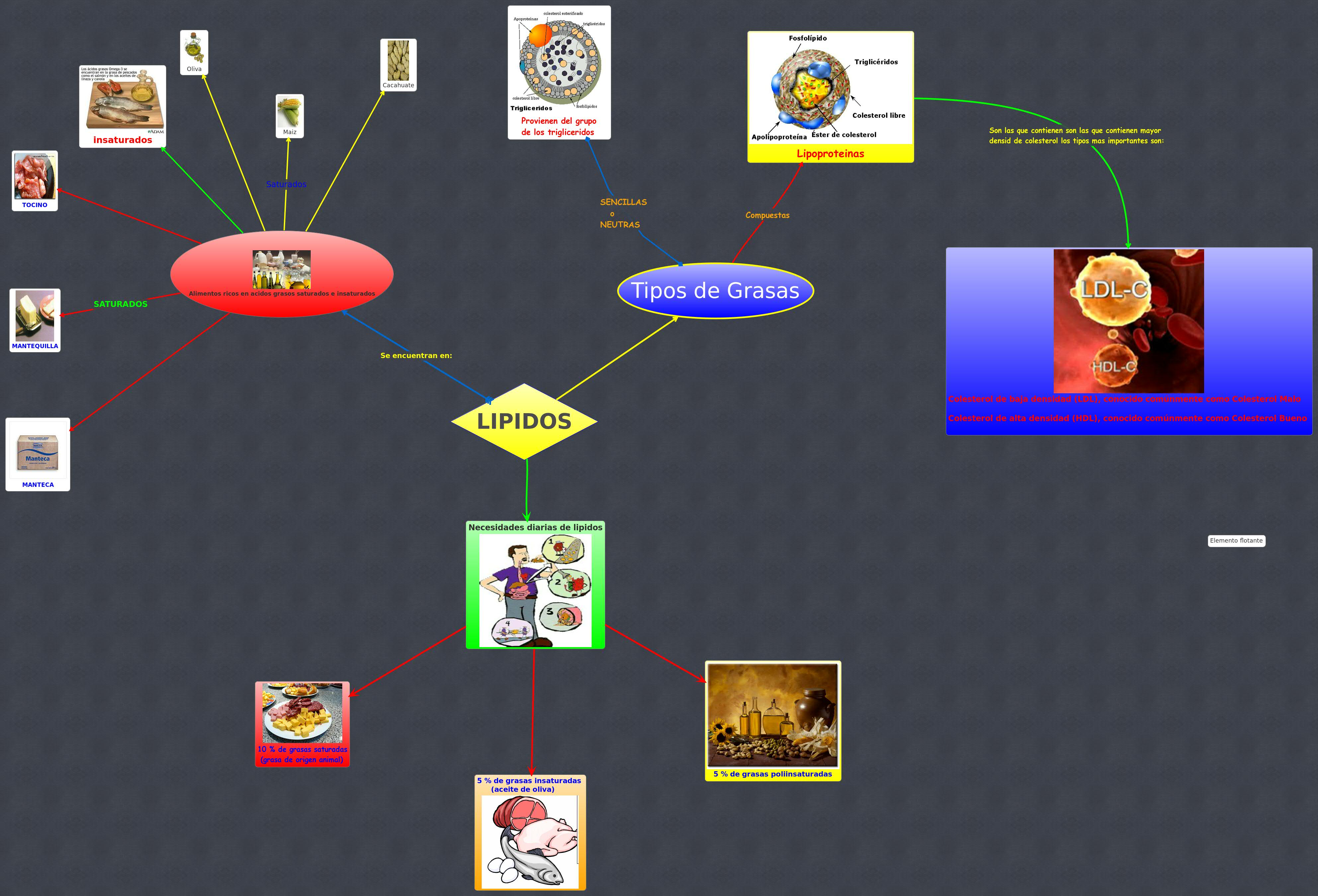 Metabolismo De Lipidos
