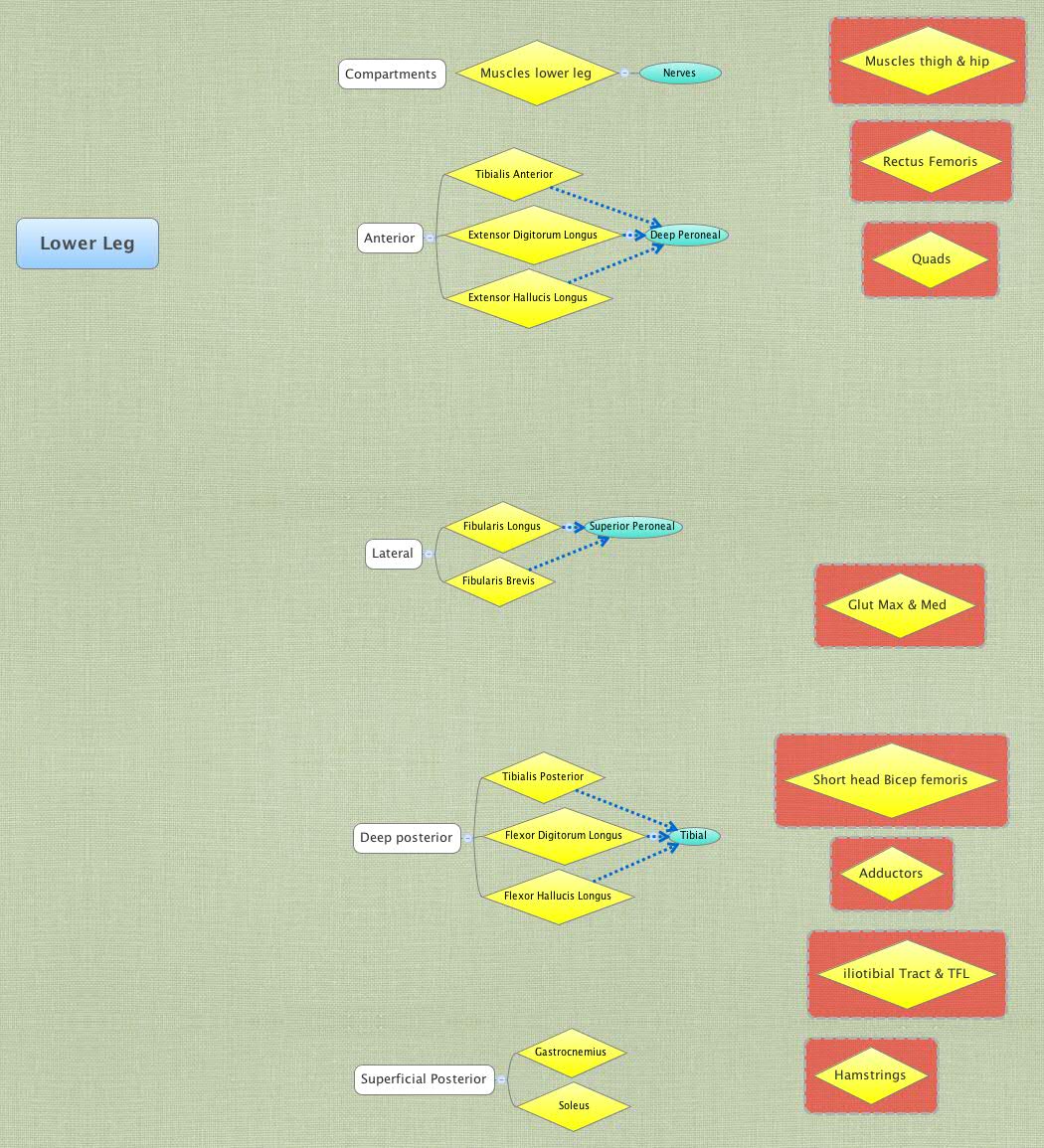 XMind Share - XMind - Mind Mapping Software