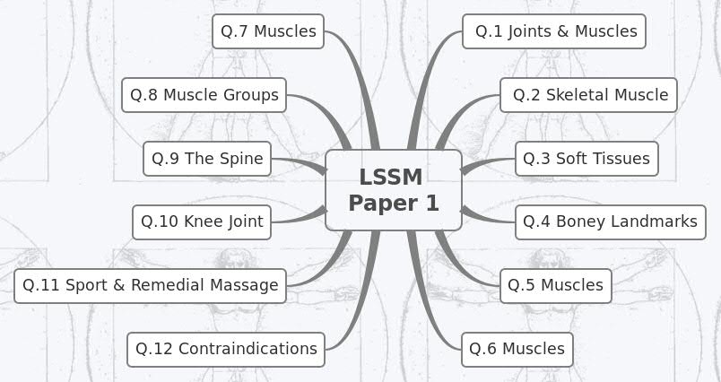 LSSM Paper 1 | Conrad Linde - Xmind