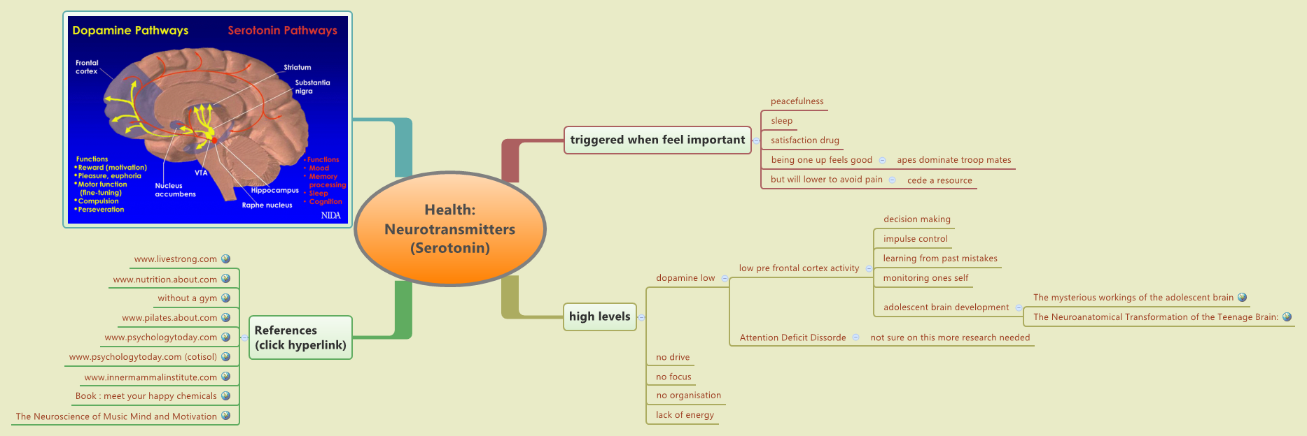 Health: Neurotransmitters (Serotonin) | ScienceMindMaps - Xmind