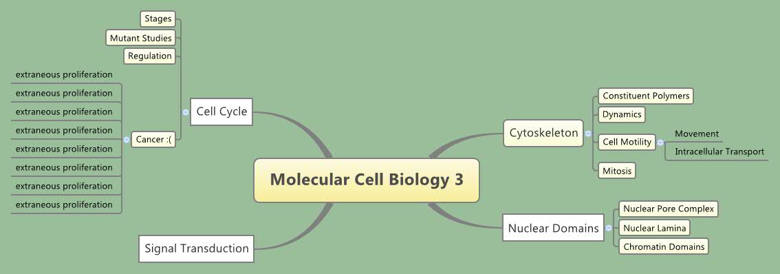 Molecular Cell Biology 3 - XMind - Mind Mapping Software