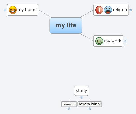 my life - XMind - Mind Mapping Software