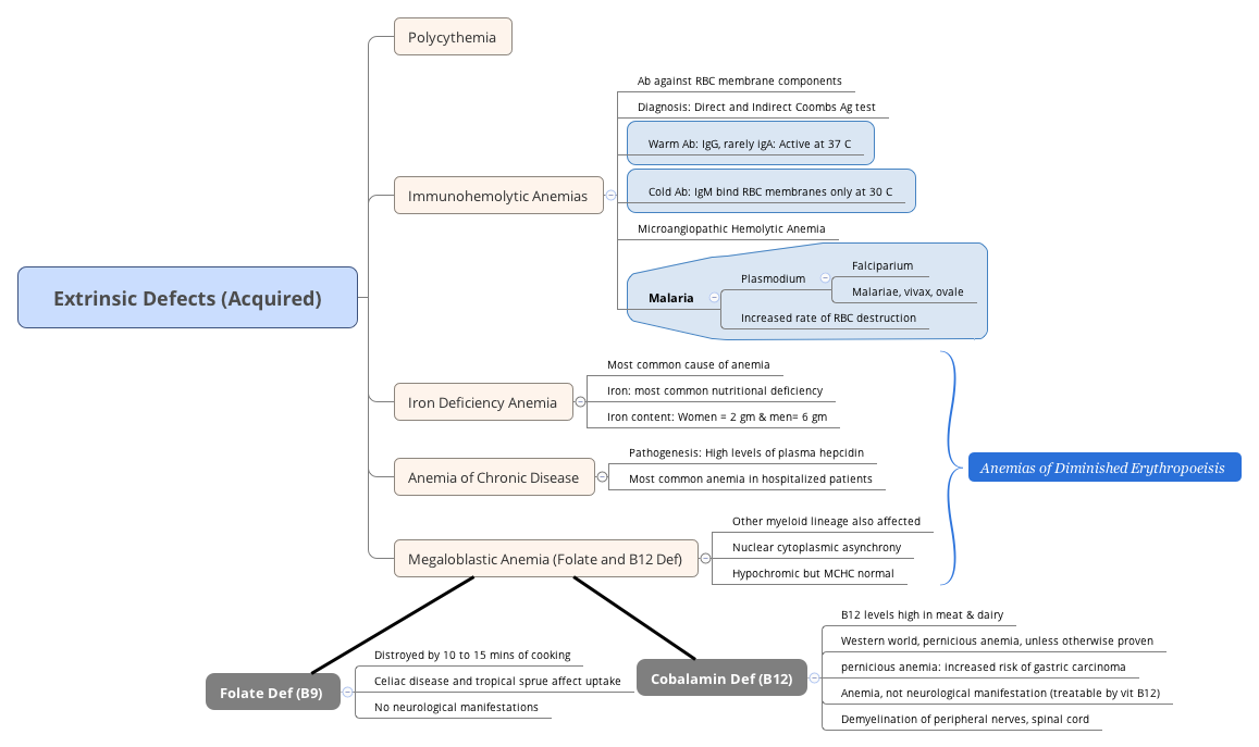 Extrinsic Defects (Acquired) - XMind - Mind Mapping Software