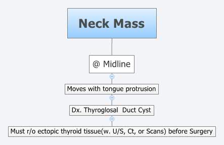Neck Mass - XMind - Mind Mapping Software