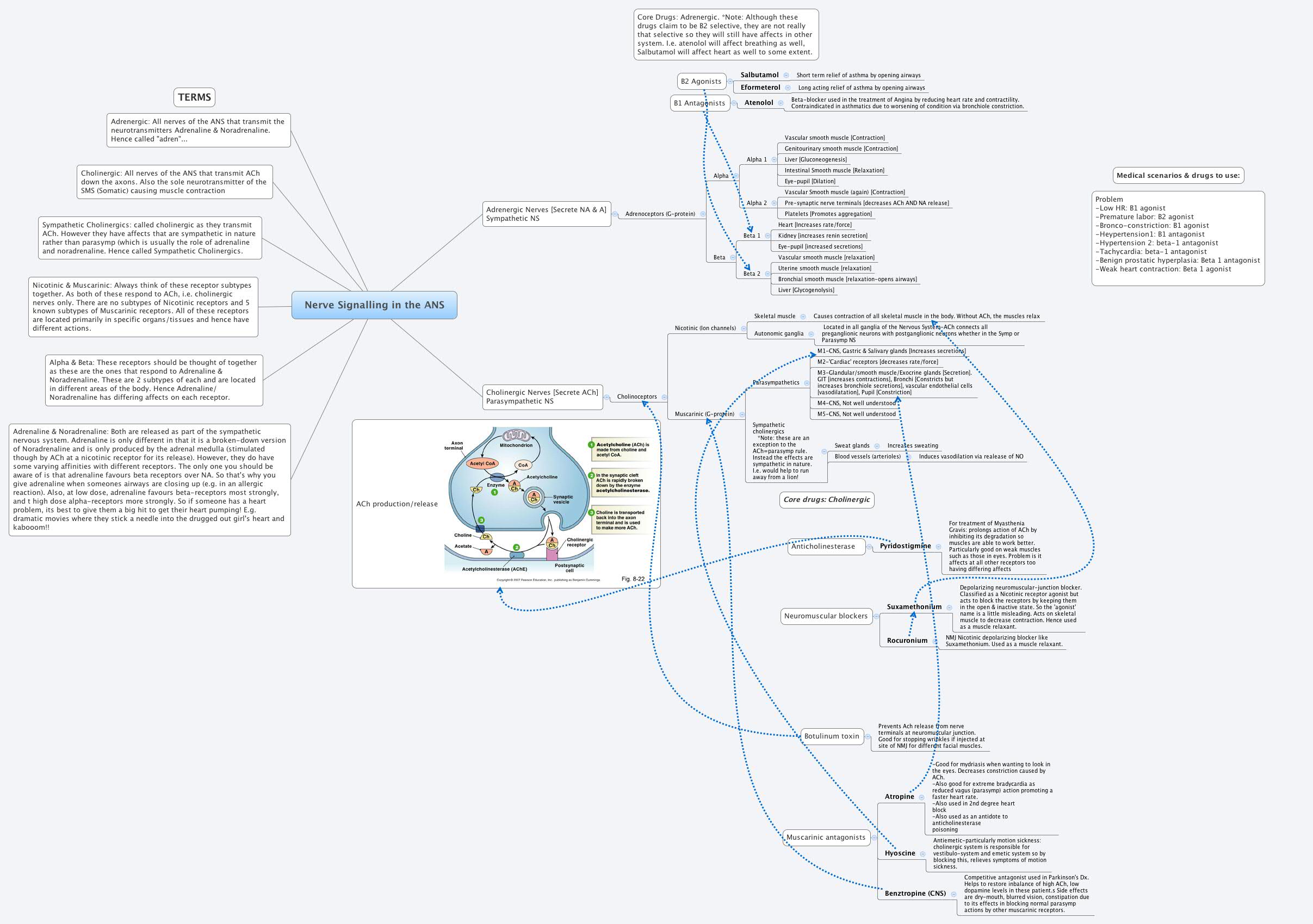 XMind Share - XMind - Mind Mapping Software