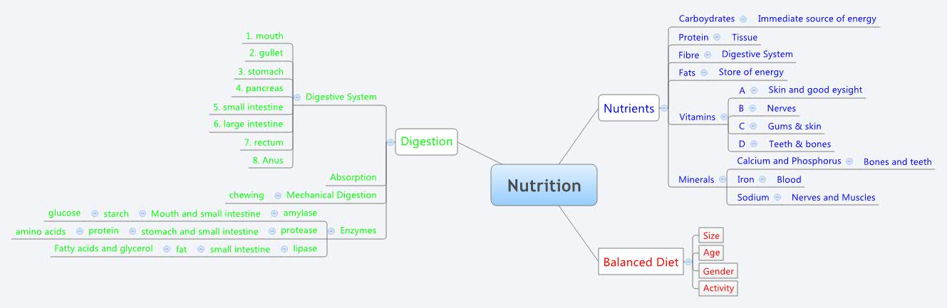 Nutrition - Xmind - Mind Mapping App