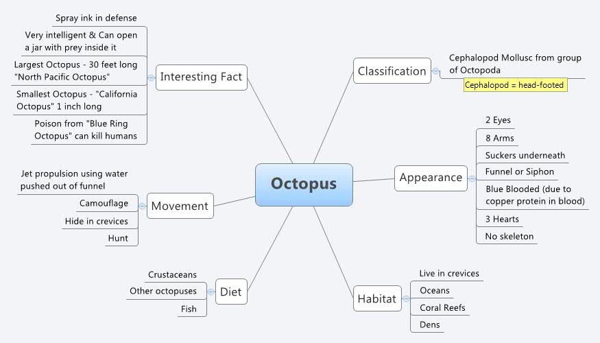 Octopus - XMind - Mind Mapping Software