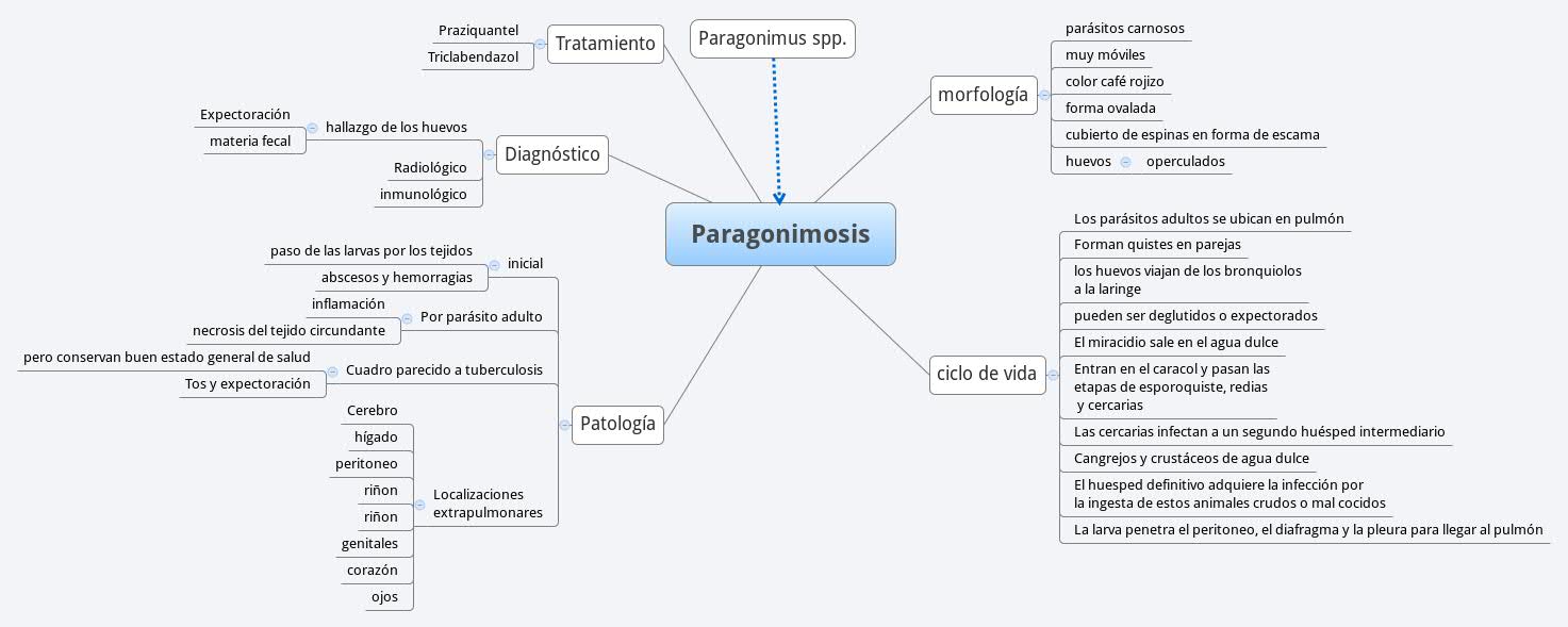 Paragonimosis | Antonio Barajas - Xmind