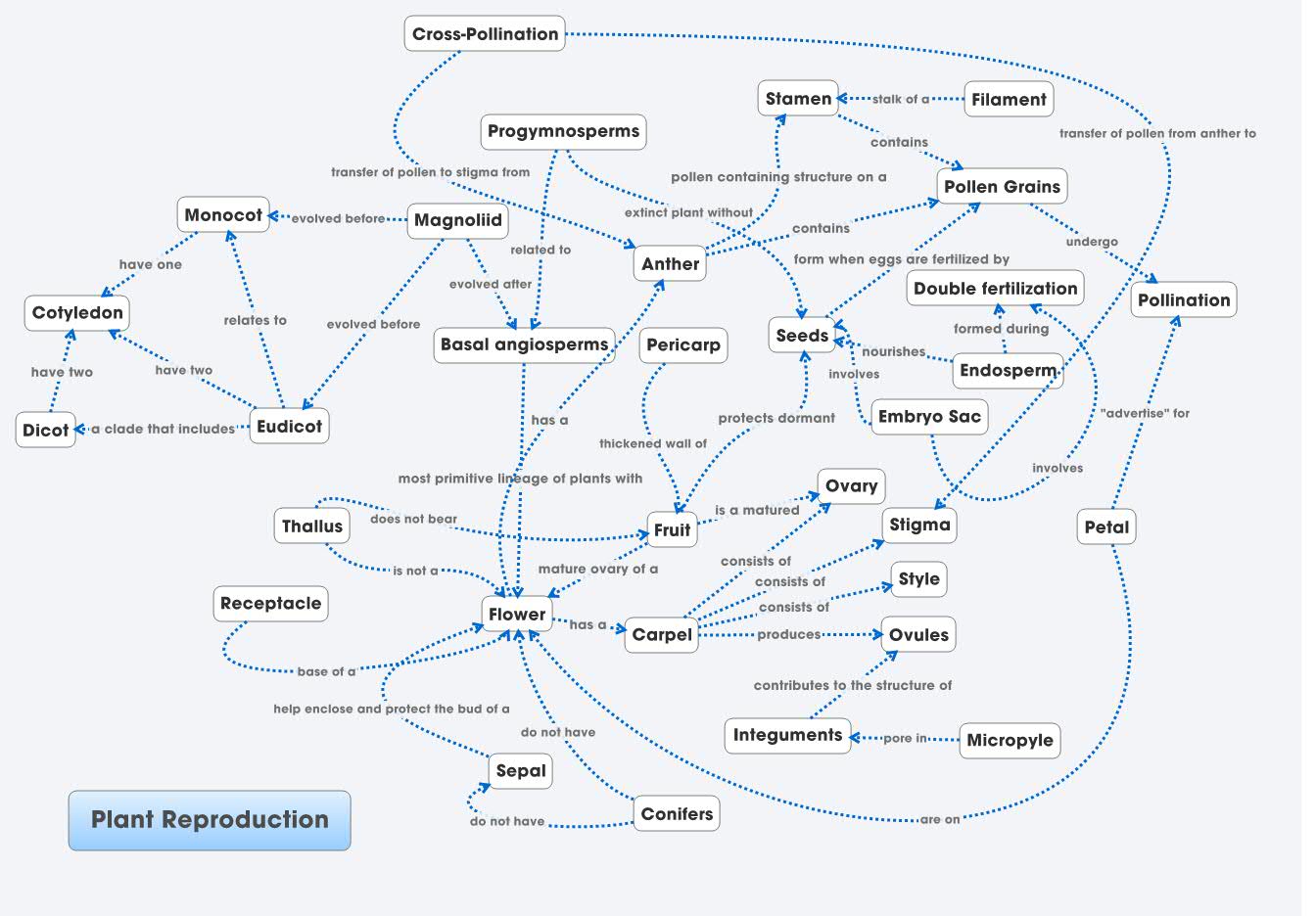 Plant Reproduction | Kevin - Xmind