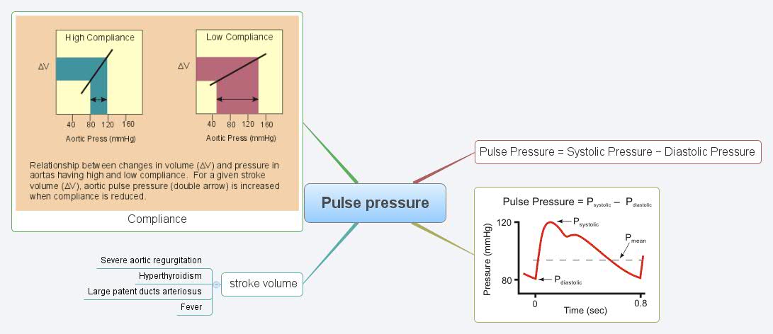 Pulse pressure - Xmind - Mind Mapping App