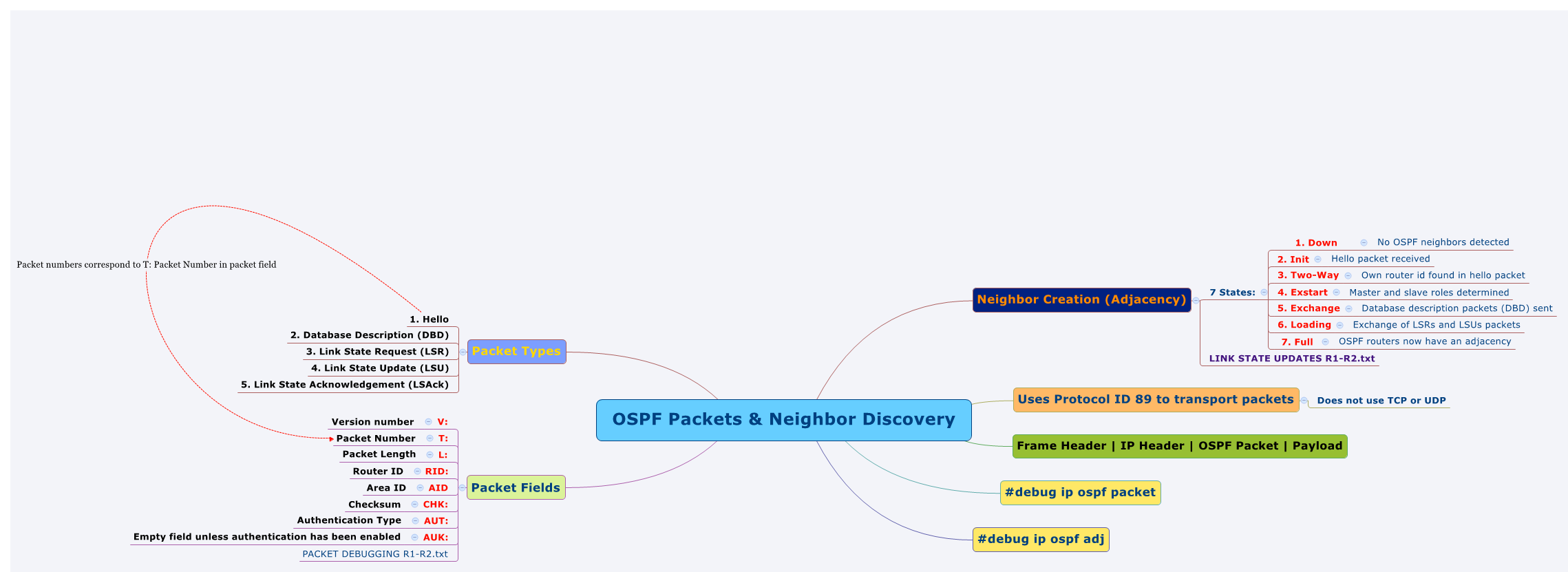 OSPF Packets & Neighbor Discovery | Shane Taylor - Xmind