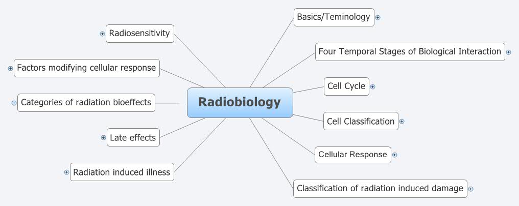 Radiobiology | ergtvb - Xmind