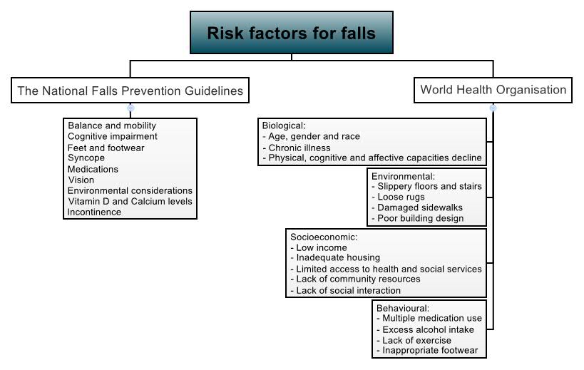 Risk factors for falls | Melinda-28 - Xmind