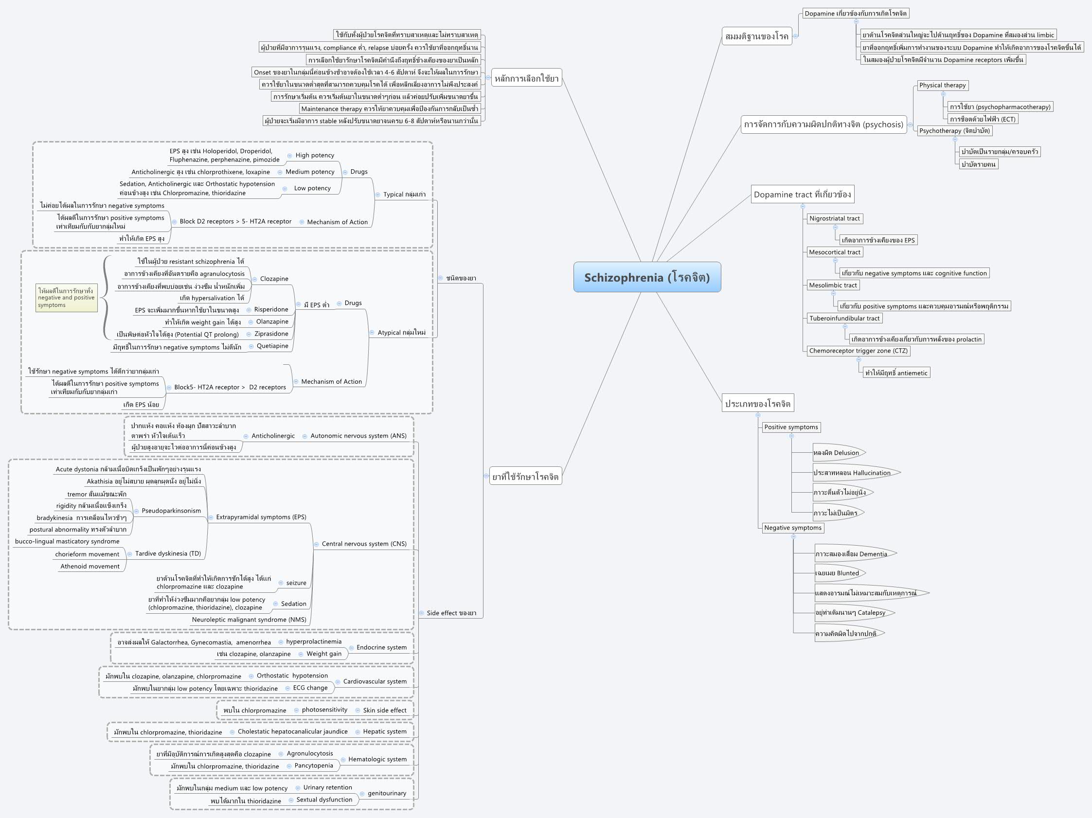 Undifferentiated Schizophrenia Pathophysiology