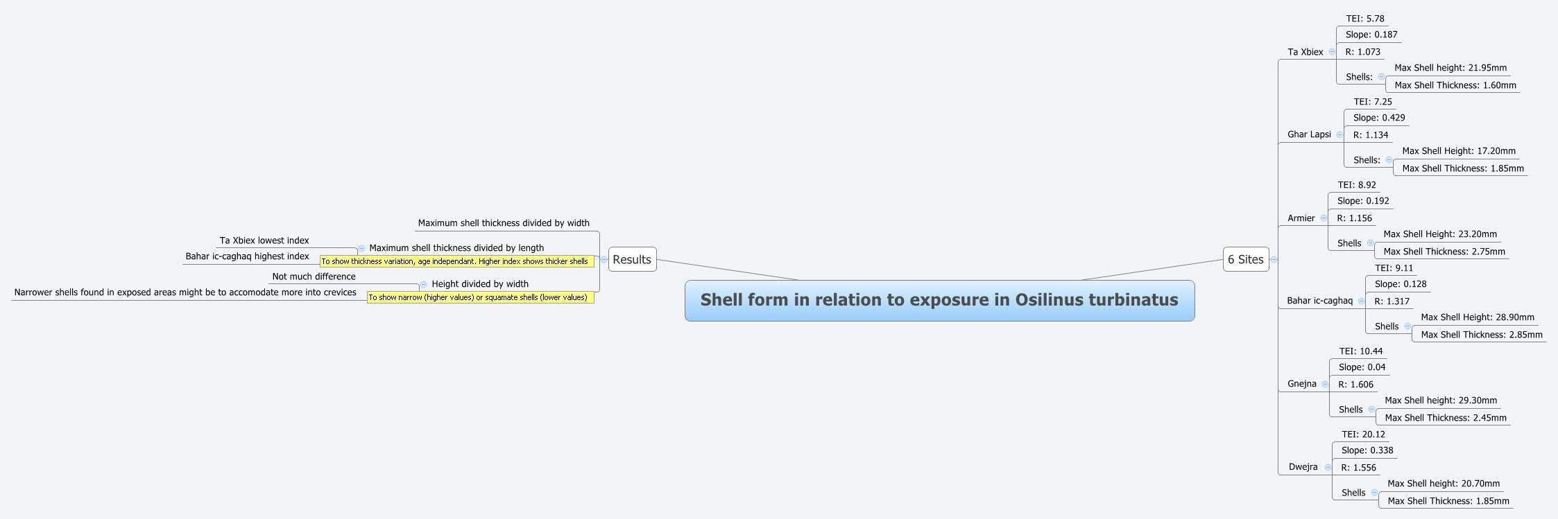 Xmind Share - Xmind - Mind Mapping App