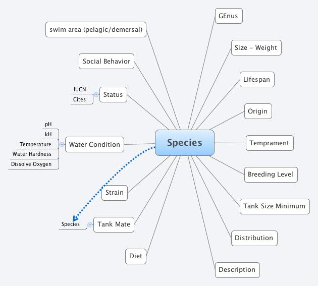 Species - Xmind - Mind Mapping App