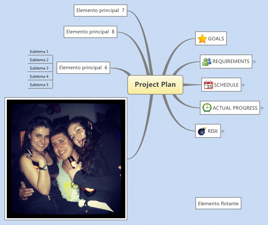 Project Plan | diana.camero89 - Xmind
