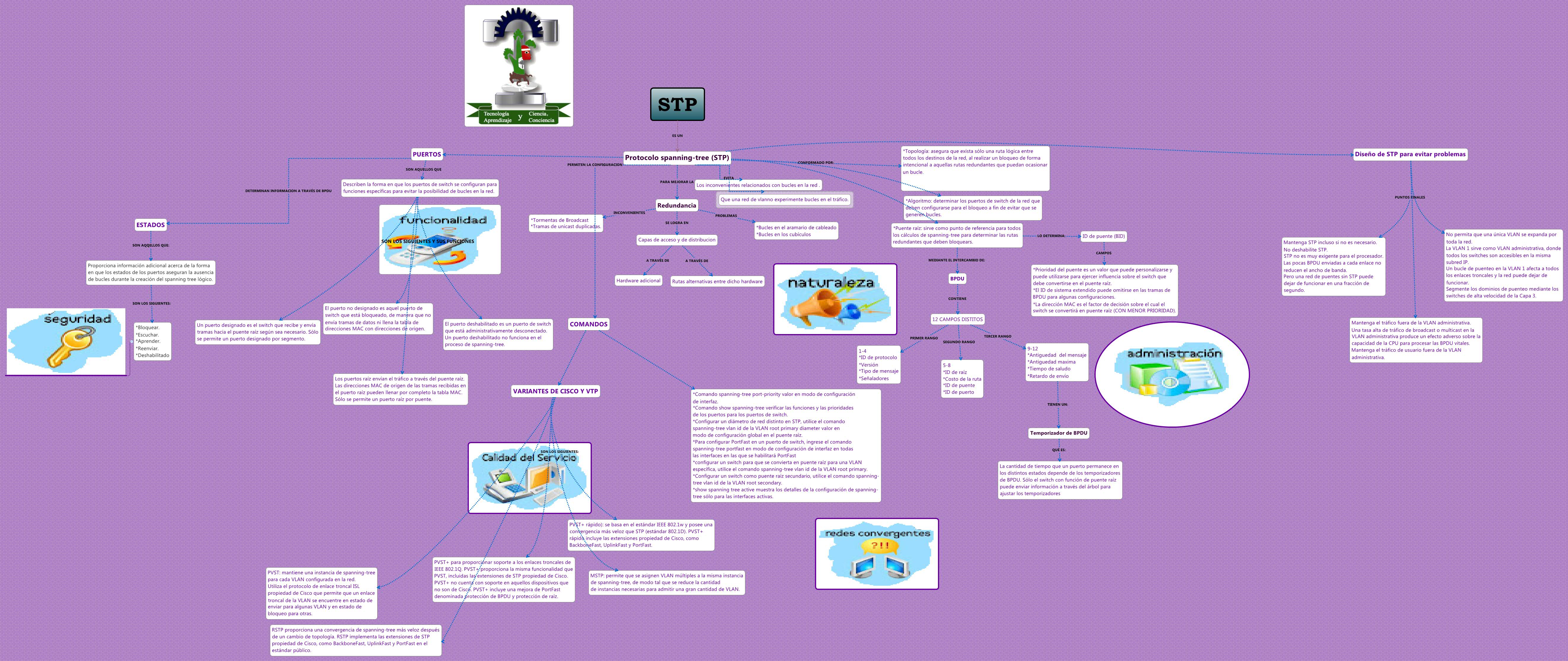 STP - Xmind - Mind Mapping App