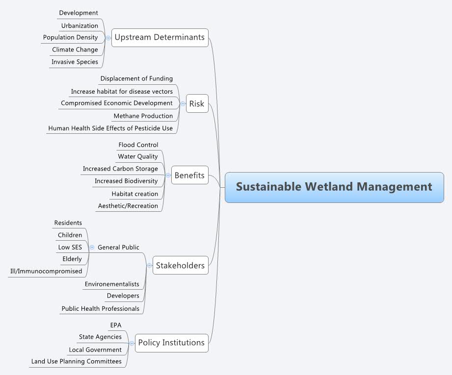 Sustainable Wetland Management - XMind - Mind Mapping Software