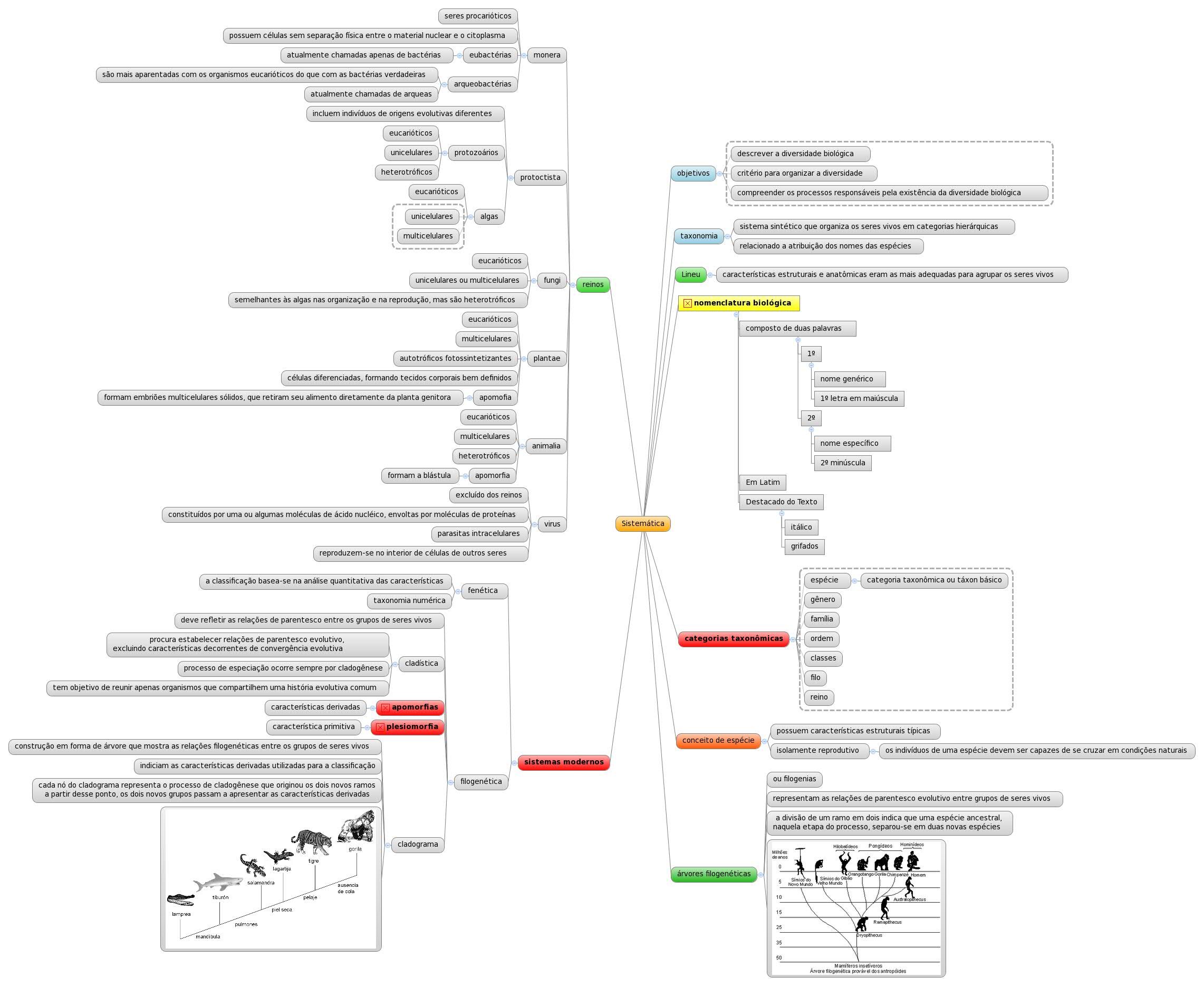 Sistemática - XMind - Mind Mapping Software