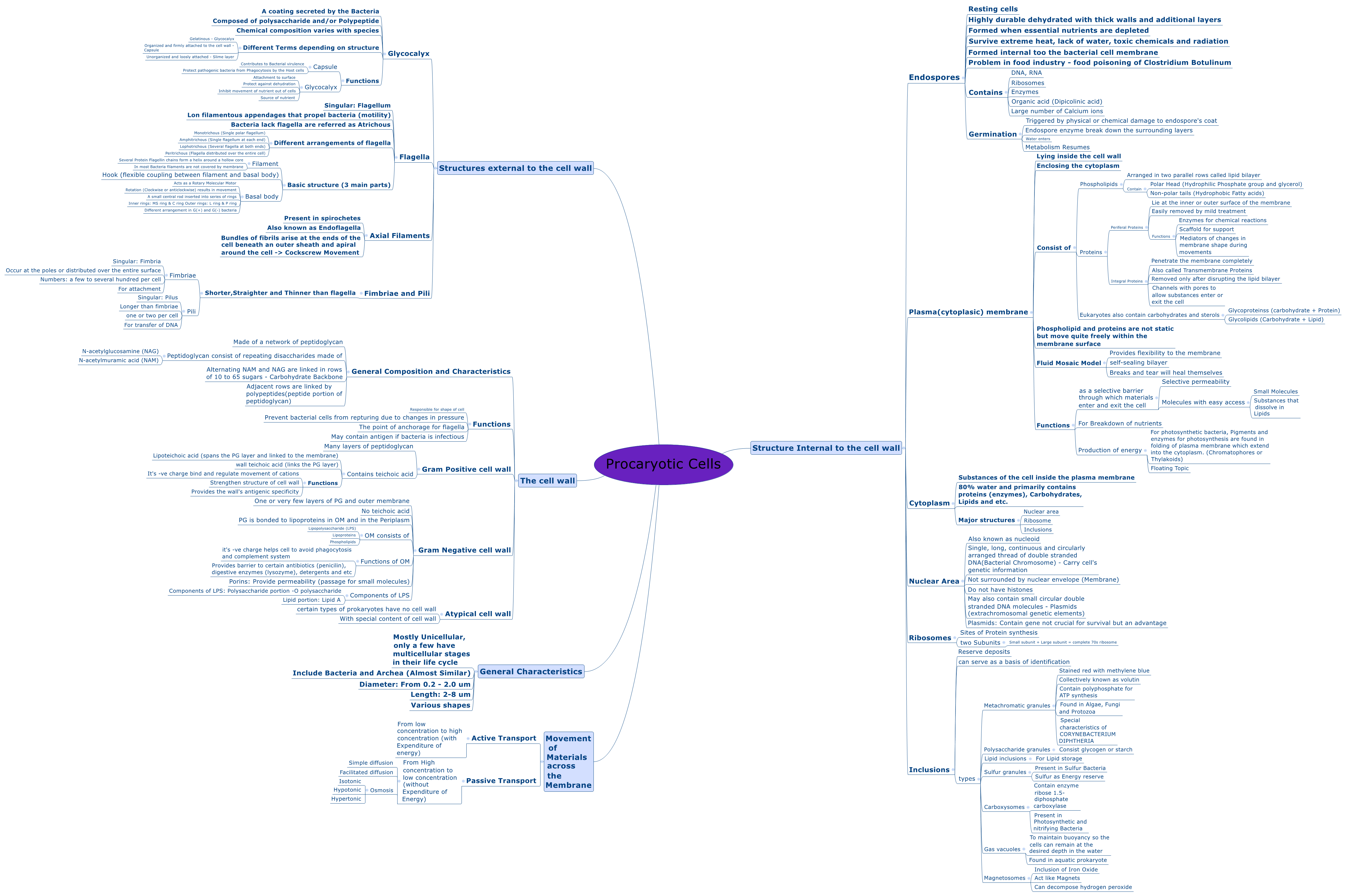 Procaryotic Cells - XMind - Mind Mapping Software