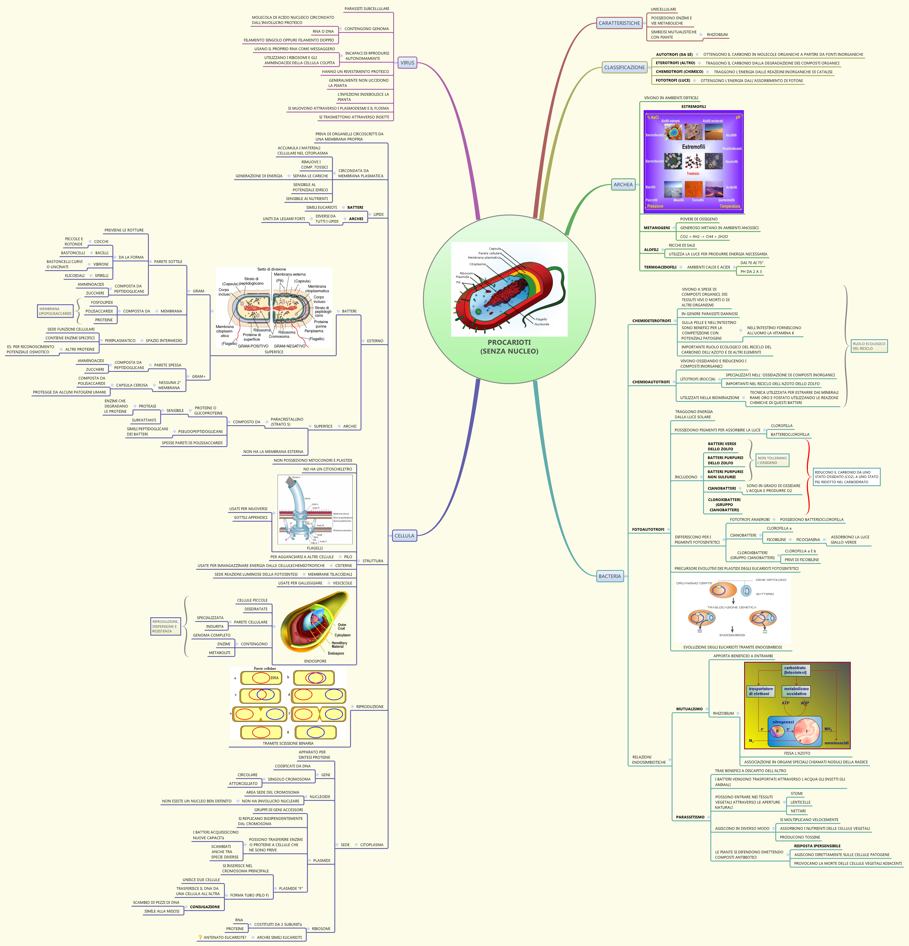 PROCARIOTI (SENZA NUCLEO) - Xmind - Mind Mapping Software
