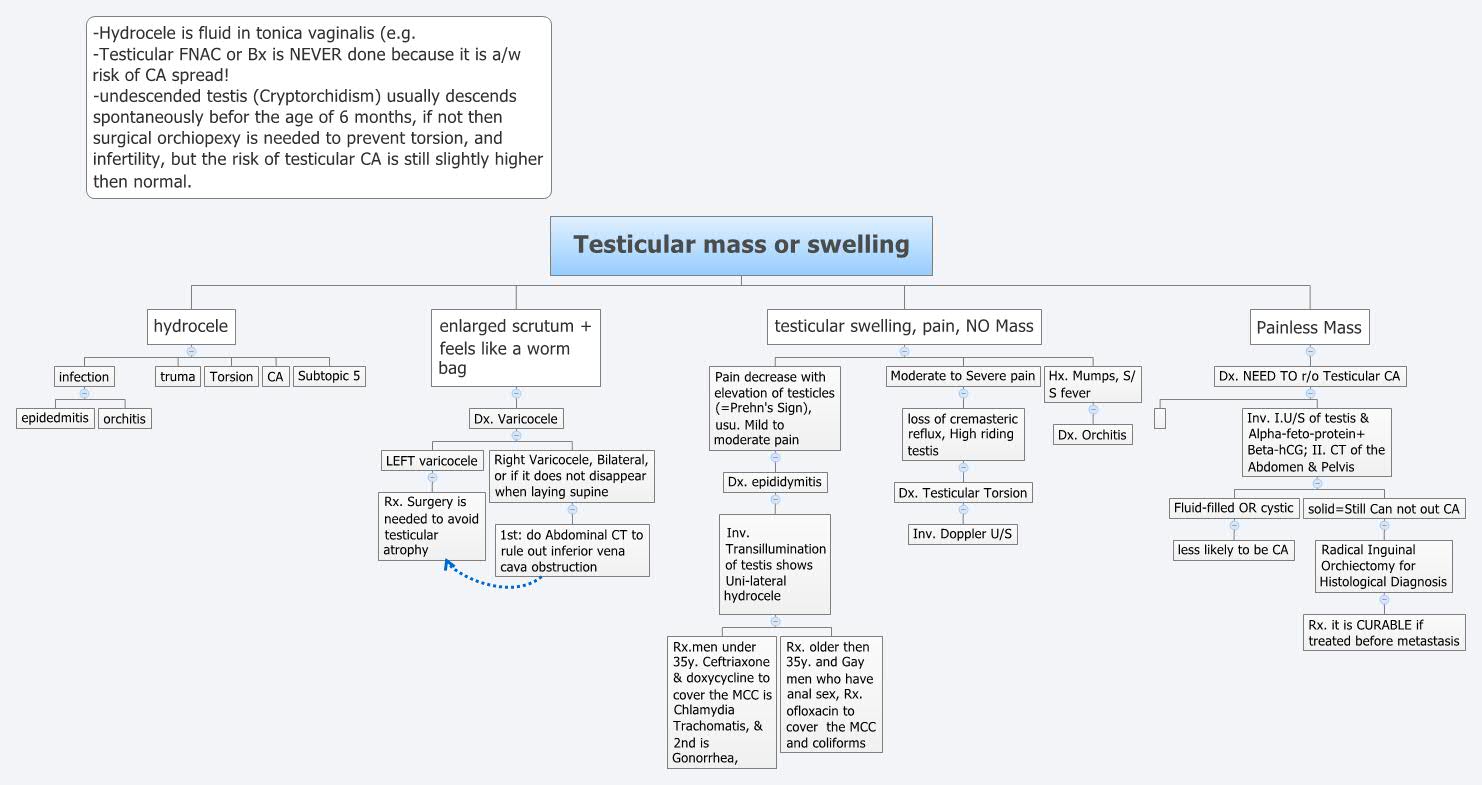 Testicular mass or swelling - XMind - Mind Mapping Software