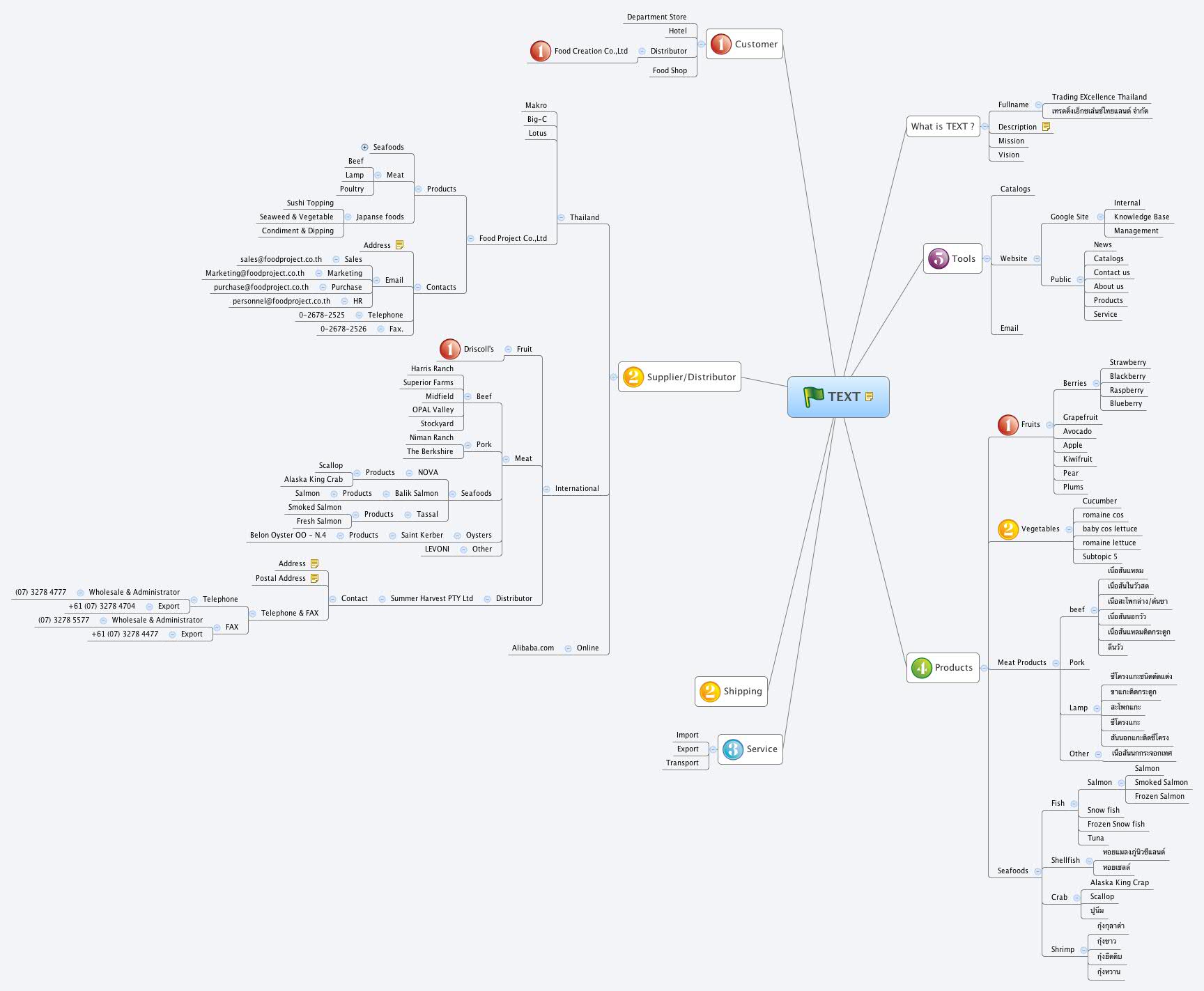 TEXT - XMind - Mind Mapping Software