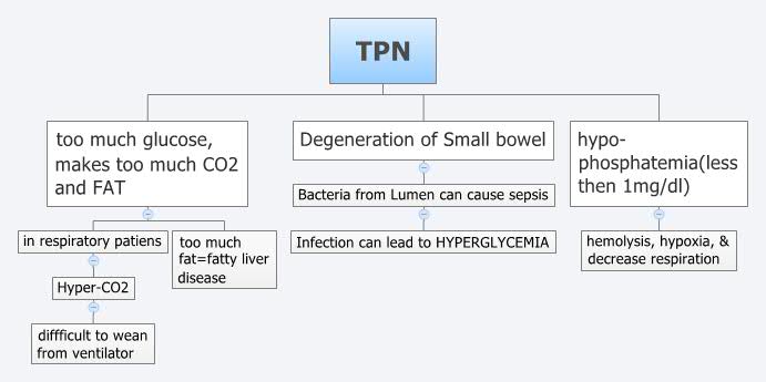 TPN - XMind - Mind Mapping Software