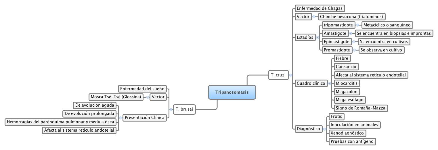XMind Share - XMind - Mind Mapping Software