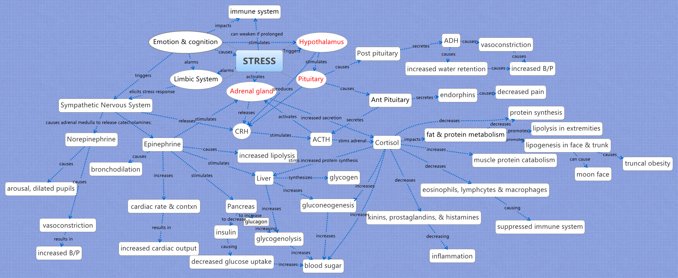 STRESS - XMind - Mind Mapping Software