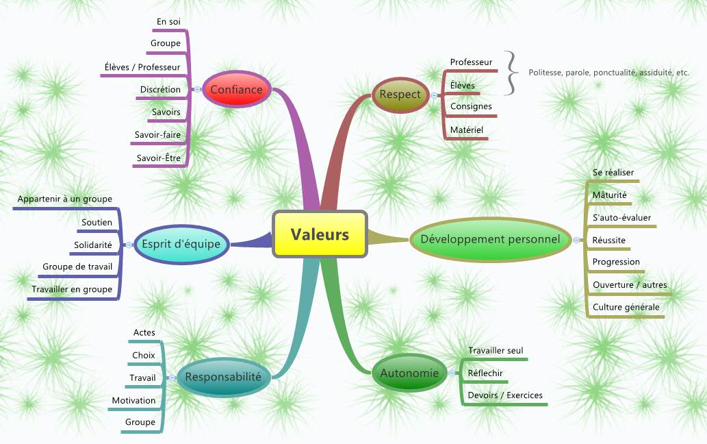 Valeurs | Vattier Franck - Xmind