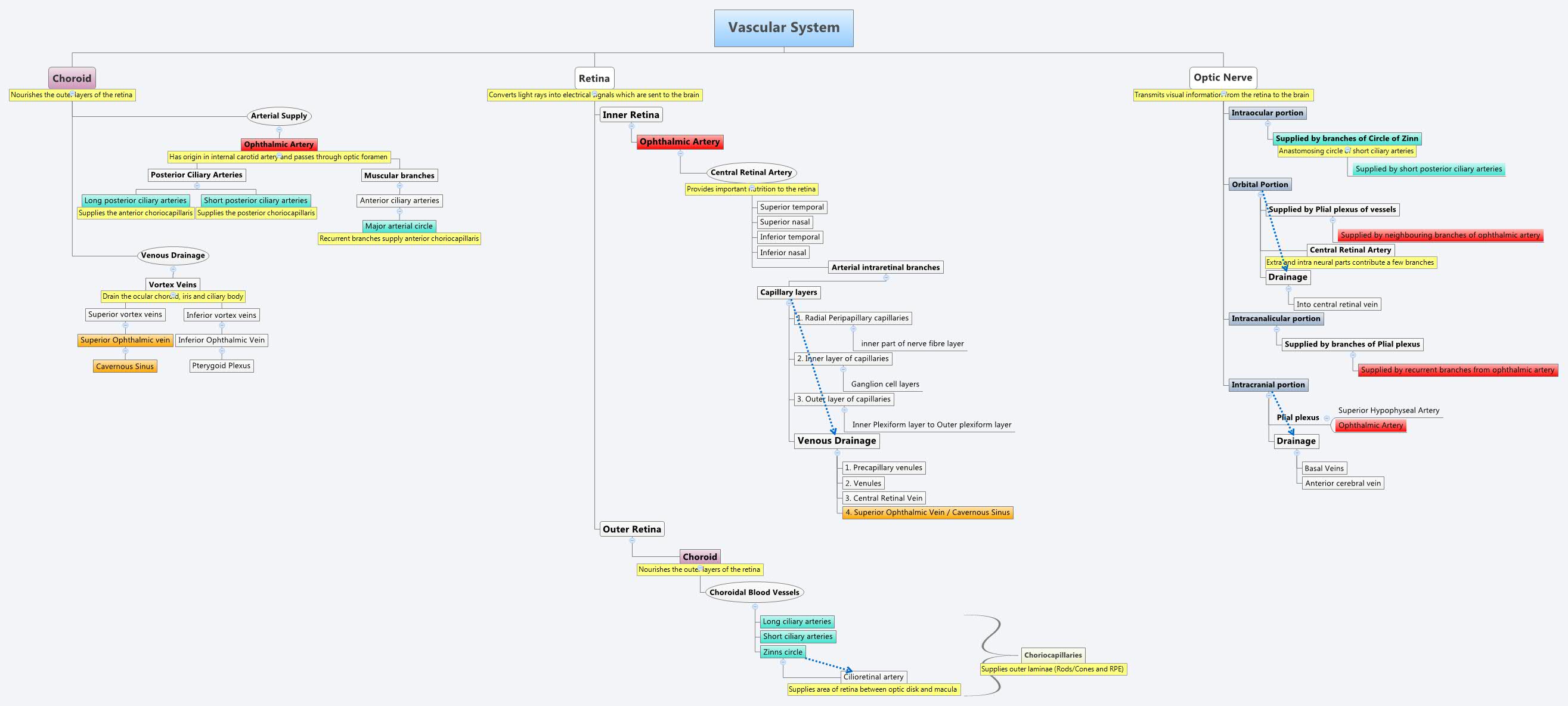 Vascular System | Aasima - Xmind