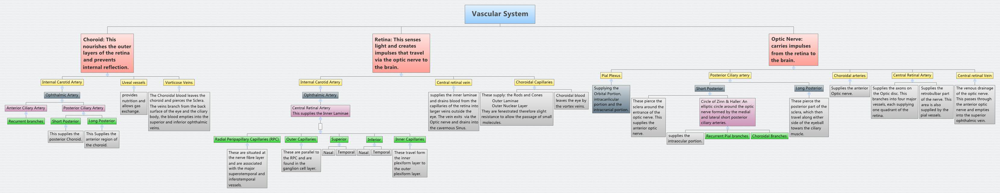 Vascular System - XMind - Mind Mapping Software